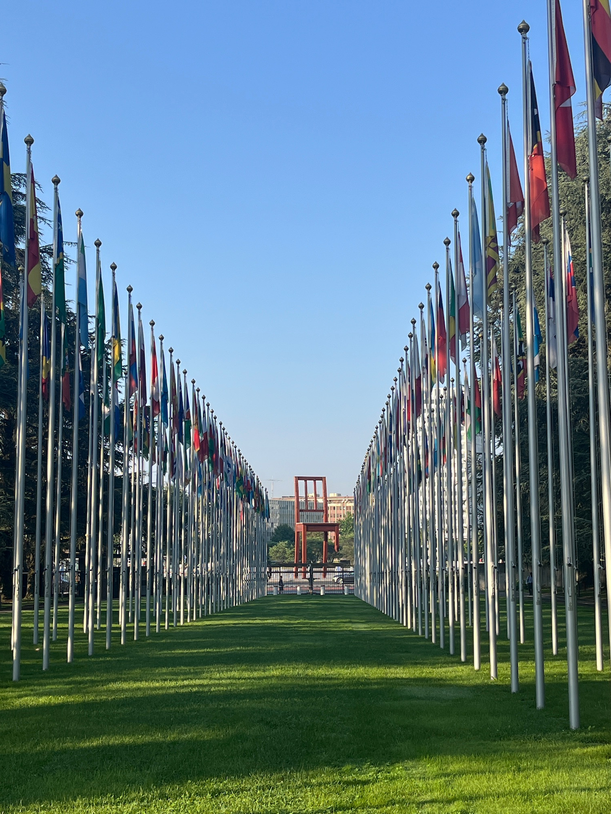 Microplastics Detected In The Human Brain