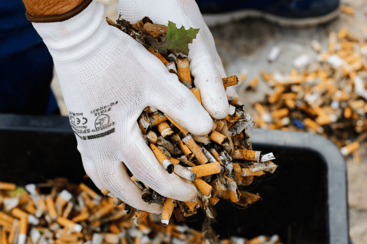 Stop plastic cigarette filters: opt for a filterless cigarette.