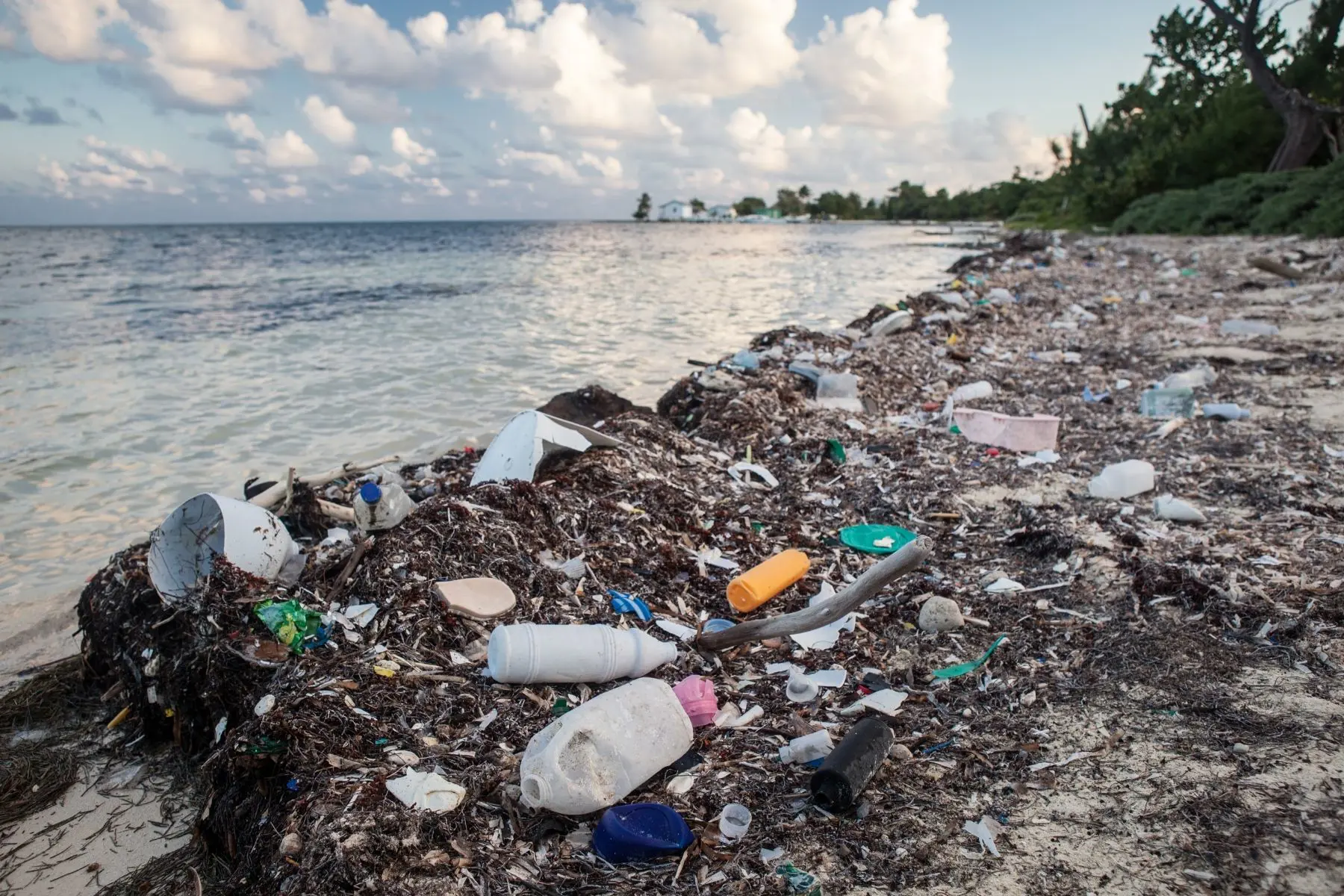An Ocean Full Plastic Plastic Soup Foundations An Ocean Full Plastic Plastic Soup Foundations